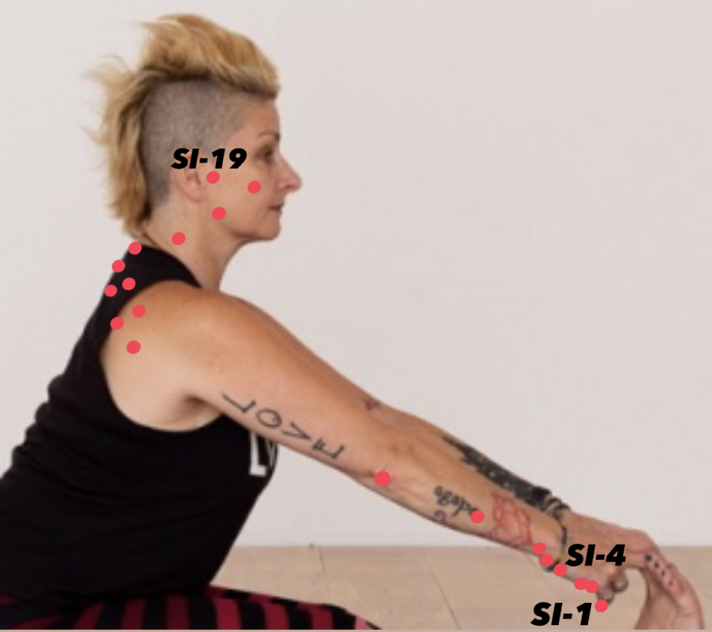 The Five Elements in TCM and Yin Yoga: Fire - YogaEasy