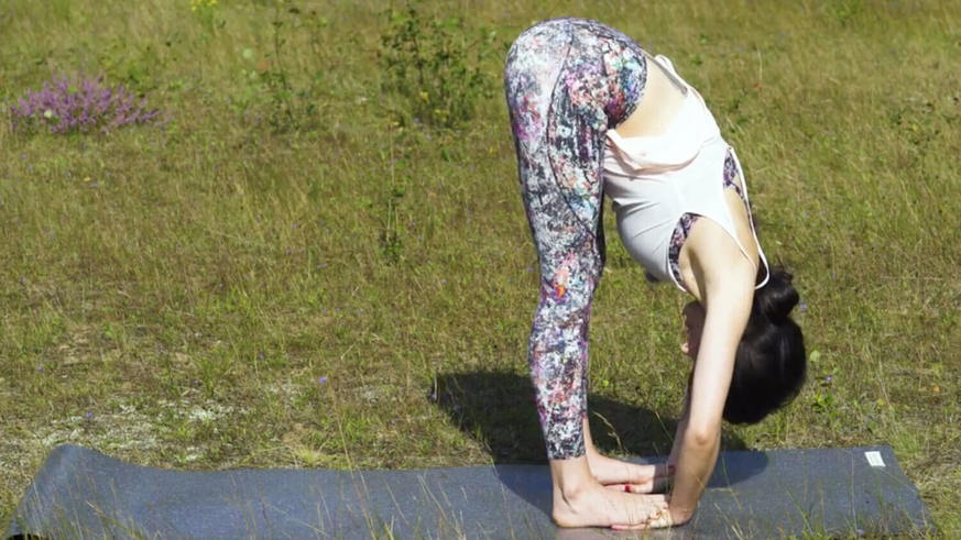Asanas im Yoga: Lexikon der wichtigsten Yoga-Figuren